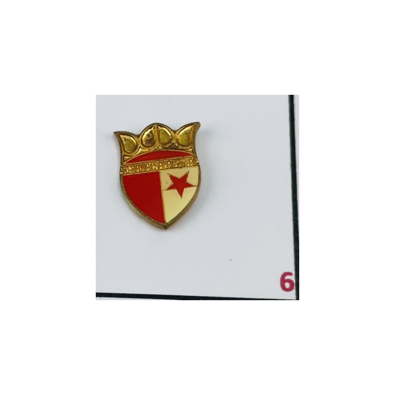 Pin Slavia Praha (CZE)